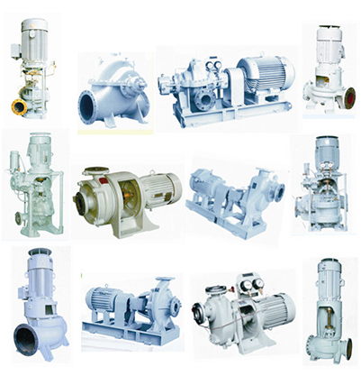 Our Services | Viva Marine
